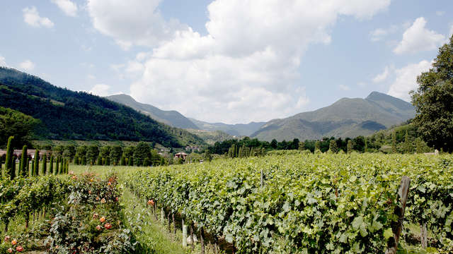 Week end châteaux Villongo avec 1 Bouteille de vin à partir de 279€