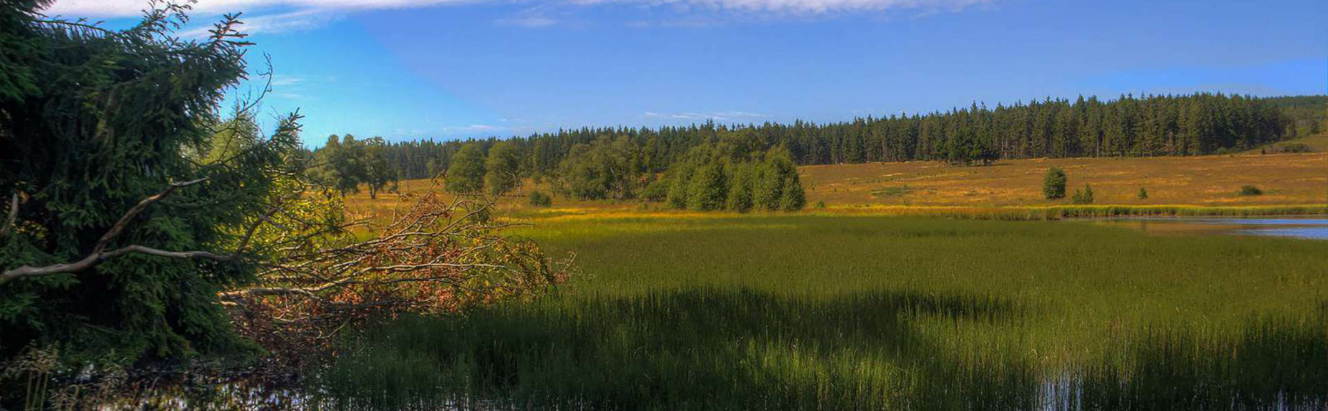 Domaine des Hautes Fagnes 4* - Ovifat, Belgio