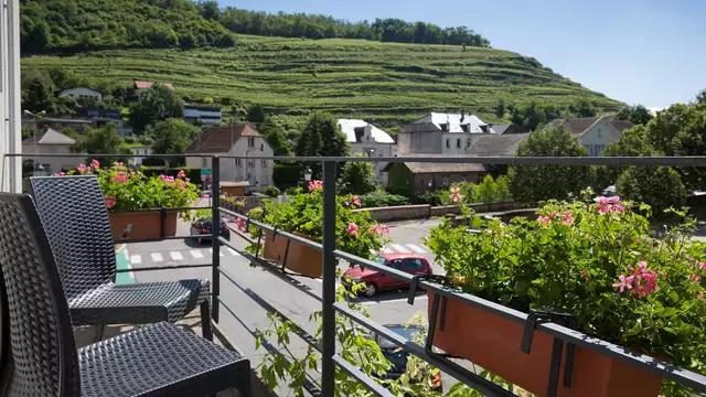 Hôtel-restaurant De L'ange - Guebwiller